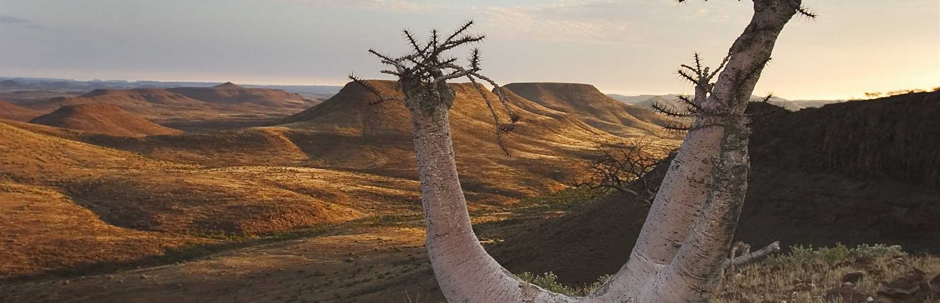 Etendeka Mountain Camp - Africa and Beyond