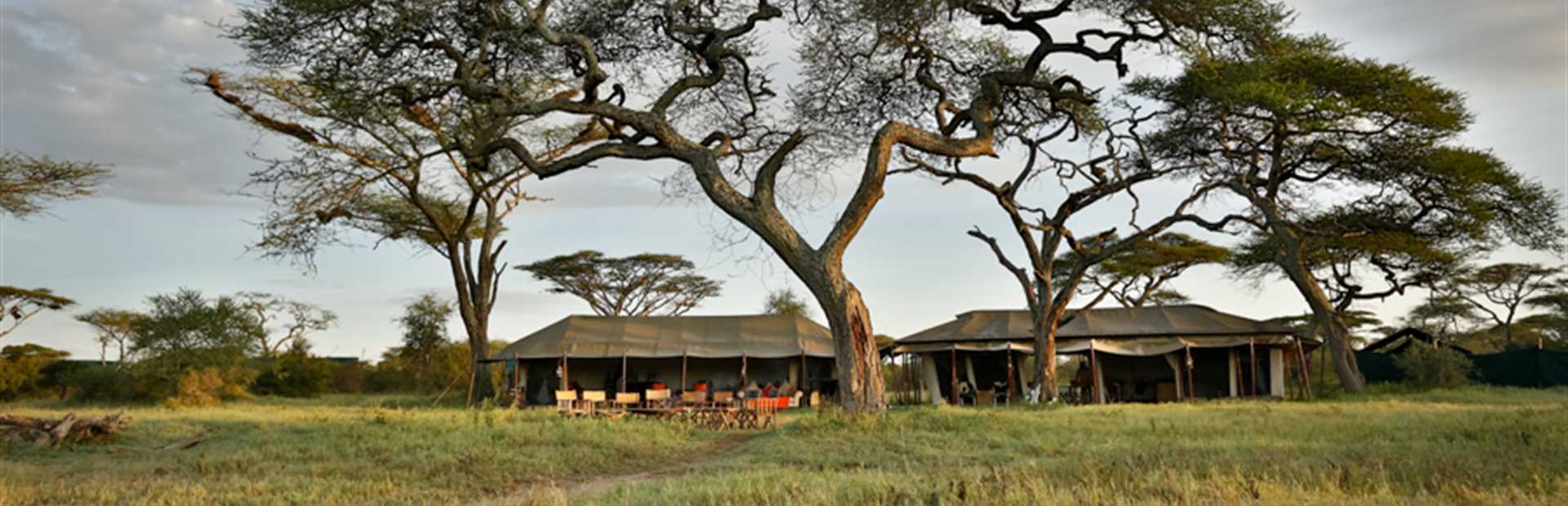 Lemala Mara Camp - Africa and Beyond