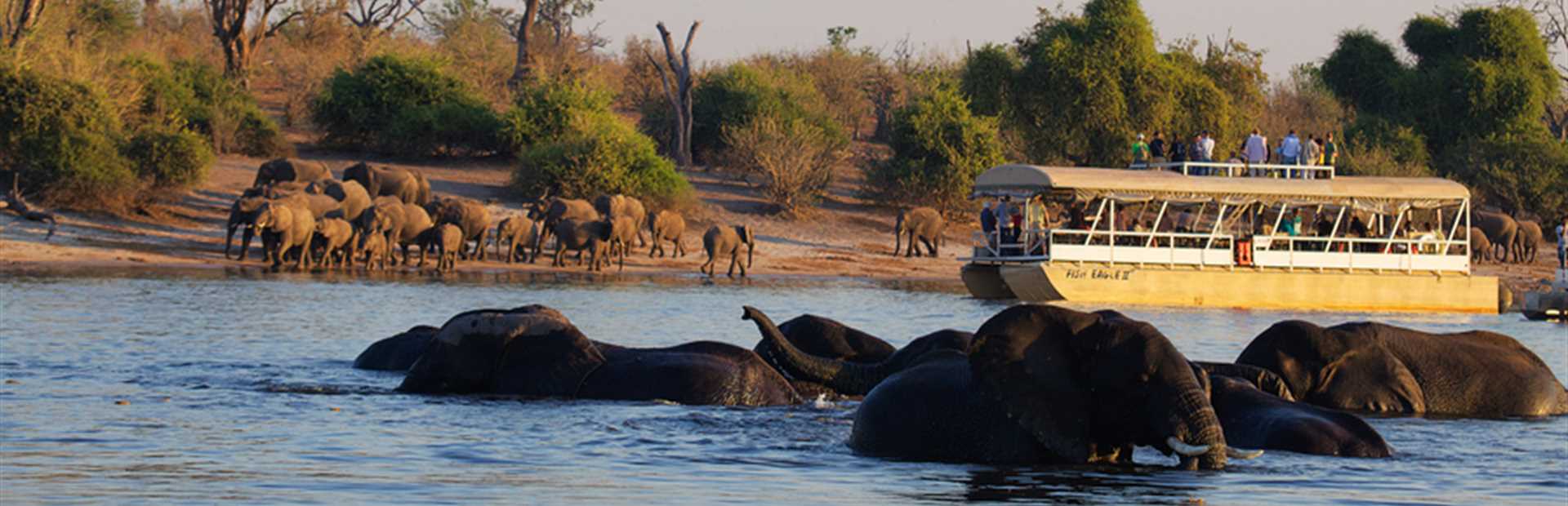 Chobe - Africa and Beyond